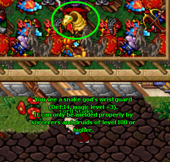 Saiba um pouco mais sobre os novos itens – Portal Tibia